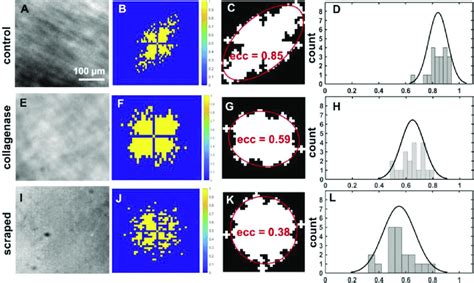 Image Texture Analysis Using Fourier Transforms Fts Representative
