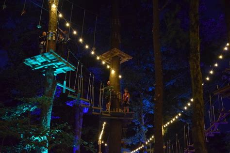 Check Out Some Photos From Our Course Tree Top Adventures