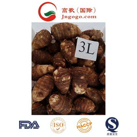 Fresh Taro for Sale - China Fresh Taro for Sale and New Taro for Sale