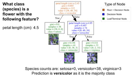 以鸢尾花数据集为例，用python对决策树进行分类 知乎