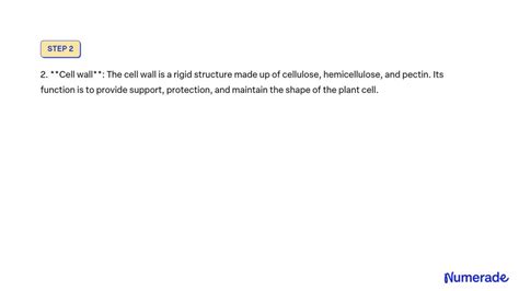 Solved Differentiate Between The Structure And Function Of The Following Plant Cell Organelles