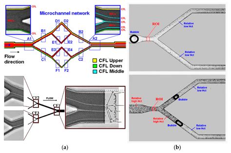 The Impact Of Polydimethylsiloxane Pdms In Engineering Recent