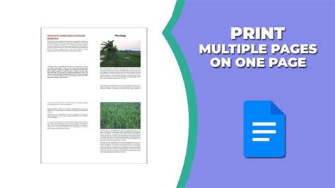 Shapon Shekh On Linkedin How To Print Multiple Pages On One Page