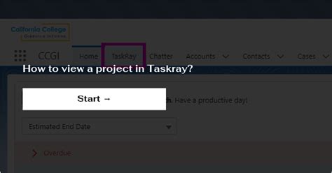 How To View A Project In Taskray