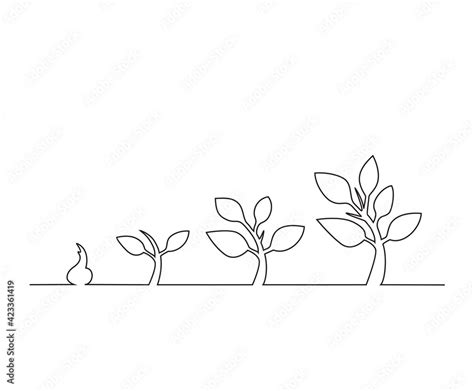 Continuous Line Drawing Of Step Of Tree Growth Tree Branch Line Vector Stock Vector Adobe Stock