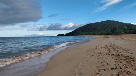 Holomua Marine Initiative Holomua On Maui