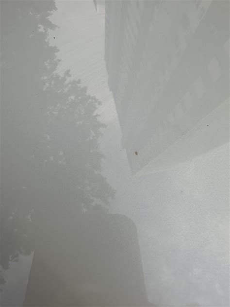 본넷 도장 녹 불량일까요 자동차 에펨코리아