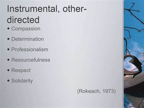 Professional Reflection Ppt