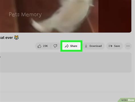 How To Embed Videos And Playlists On YouTube Easy Code Guide