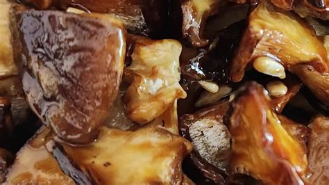 표고버섯 이렇게 하면 한 봉지 순삭 네이버 Tv