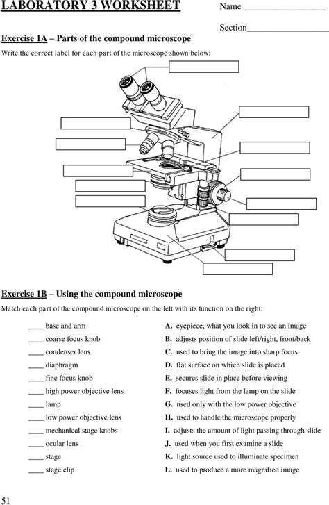 How To Use A Microscope Virtual Lab At Lloyd Sutton Blog