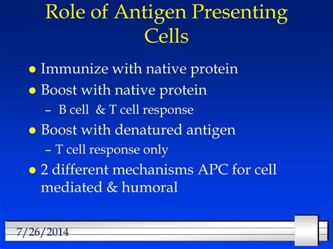 Ppt Antigen Processing And Presentation Powerpoint Presentation Id 2401043