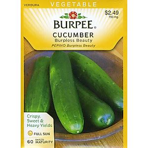 Burpee Burpless Beauty Cucumber Seeds Grow Your Own