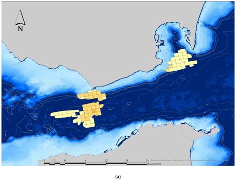 Fin Whale Balaenoptera Physalus Migration In The Strait Of Gibraltar