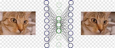 Whiskers Autoencoder Machine Learning Keras Unsupervised Learning Others Mammal Face Cat