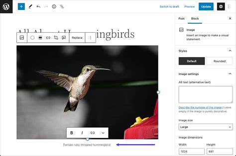 How To Add Wordpress Image Captions