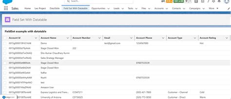 How To Automate Fieldset Into Datatable Using Lwc Component