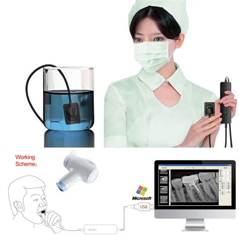 China Dental X Ray Sensor Usb Handy Digital System