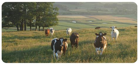 Planting Quality Pasture Grass Seed