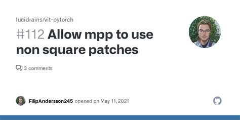 Allow Mpp To Use Non Square Patches · Issue 112 · Lucidrainsvit