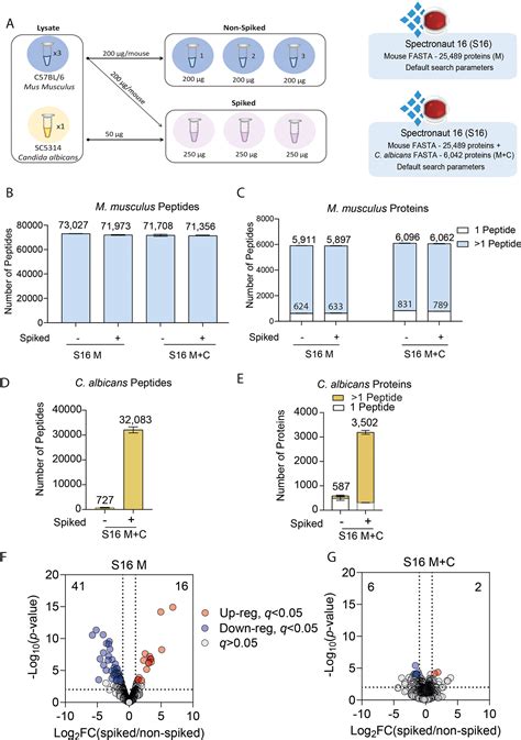 Optimizing Spectronaut Search Parameters To Improve Data Quality With Minimal Proteome Coverage