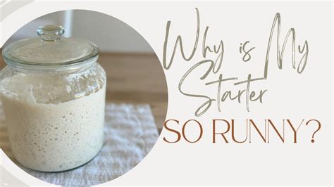 Why Is My Sourdough Starter So Runny And What Should The Consistency Be