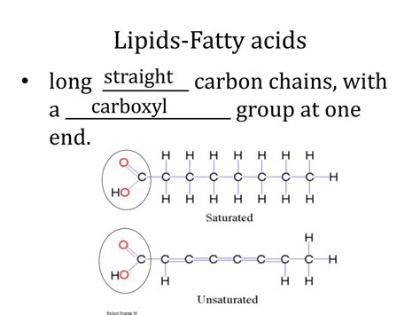 Ppt Unit 3 Biochemistry Powerpoint Presentation Free Download Id