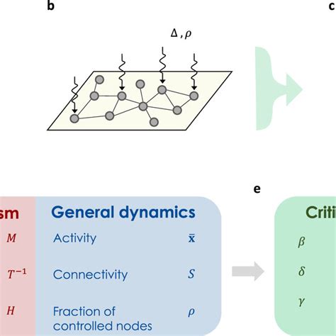 Control As An External Field A Dynamical Systems As Epidemic Spread