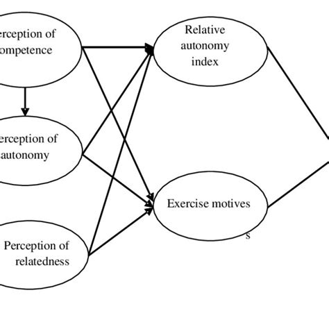 Theoretical Model Predicting The Level Of Physical Activity Behavior In Download Scientific