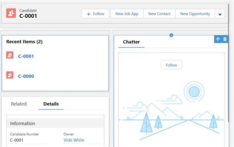 Create A Custom Candidate Record Page Unit Salesforce Trailhead