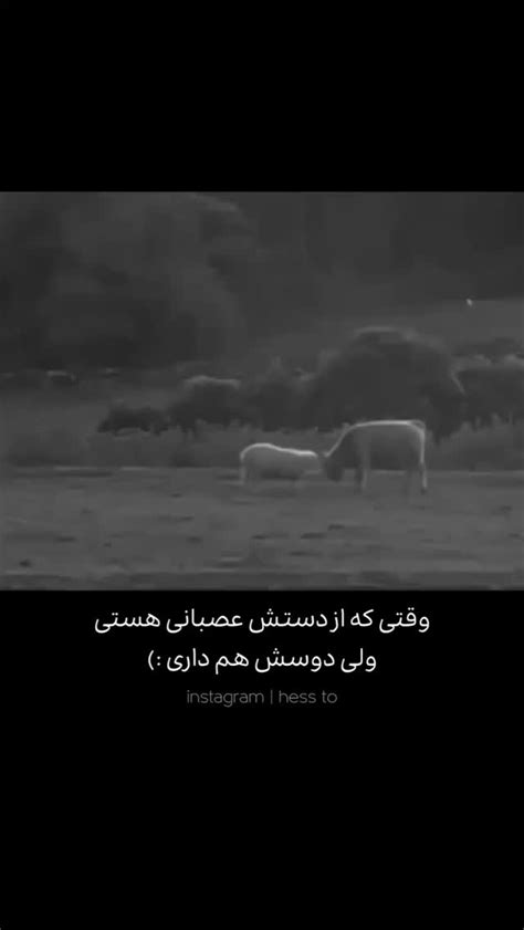 ‎روانشناسی دارک نادیا محبی‎ ‎احساس میکنم انگار ابری تیره و سنگین بالای سرم قرار گرفته و هر