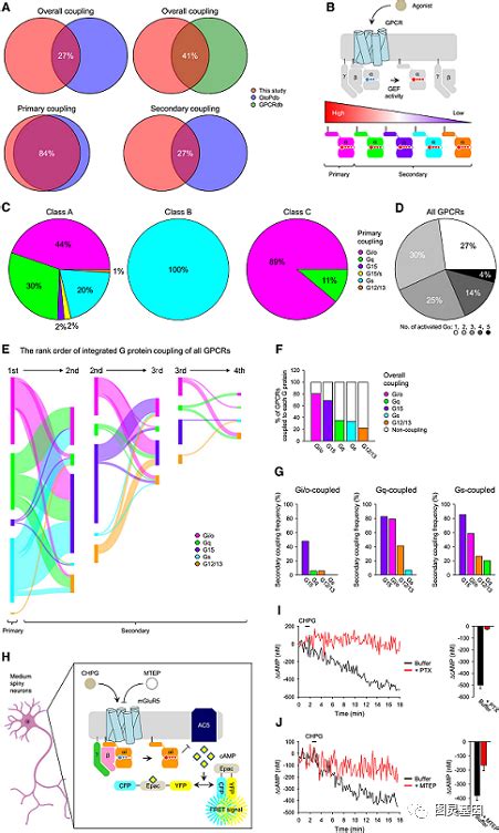 Cell Reports Gpcr功能重分类：基于活细胞中测量的底物选择性 知乎