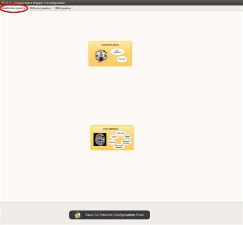 graphical user interface — connectome mapper 3
