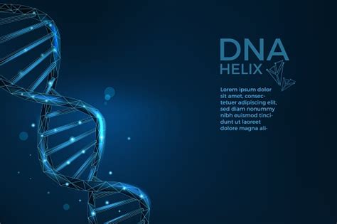 Dna 나선 의학 및 생물학 연구 과학 배경 생명 공학 및 유전체학 와이어프레임 염색체 분자 사슬 유전자 구조 파란색 나선형