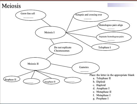 Part A Meiosis Concept Map Map