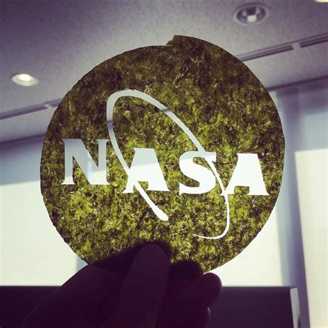 Github Spaceappssagami Seaweed Space