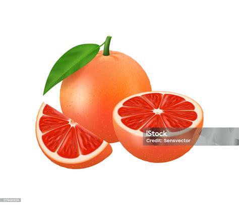 자몽 신선한 조각 절반 및 전체 과일 현실적인 벡터 그림 자몽 조각을 잘라 주스 또는 비타민 C 로고를 만듭니다 흰색 배경에 고립 된 감귤류 아이콘입니다 건강한 여름 음식