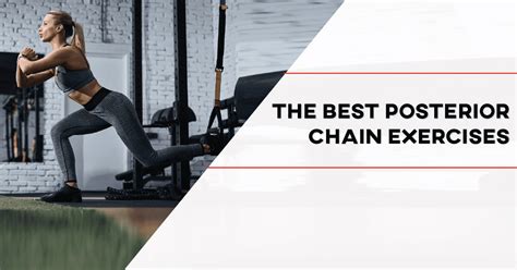 The Best Posterior Chain Exercises P Rehab