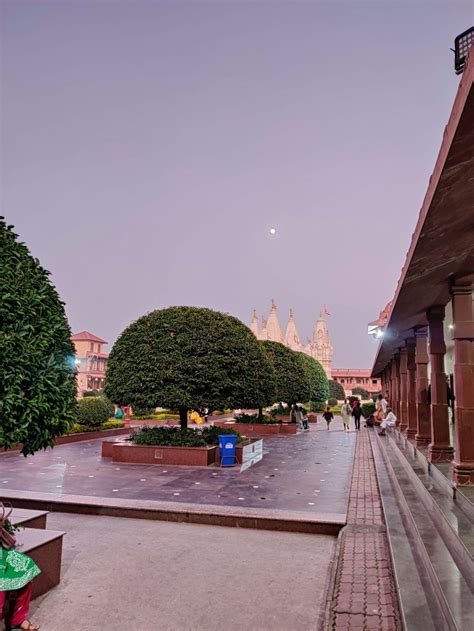 안뜰의 벤치에 앉아 있는 여자 사진 Unsplash의 무료 네이처 뷰티 이미지