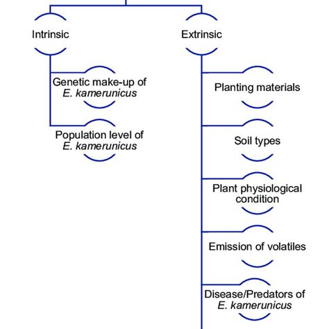 Factors Affecting The Pollination Efficiency Of Elaeidobius Kamerunicus