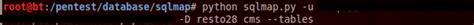 Database Assessment Tools Sqlmap Ethical Hacking And Penetration