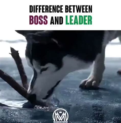 Giulia Donato Posted On Linkedin