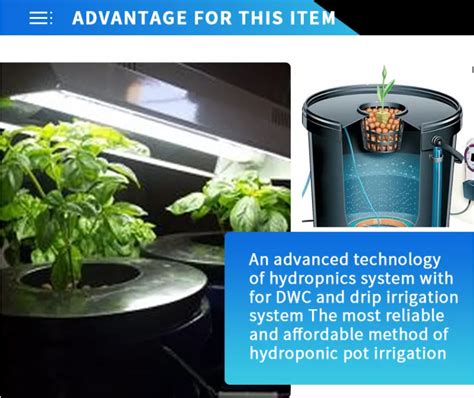 Hydroponics Dwc And Drip Recirculating Growing System 4 Plant Buckets Co