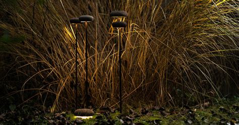 9010novantadiecis Integrable Design Illuminates Nature With Oolite