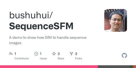Github Bushuhuisequencesfm A Demo To Show How Sfm To Handle