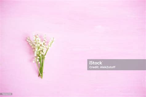 섬세한 향기와 멋진 향기로운 흰색 꽃 백합 의 계곡 오나 핑크 나무 배경 0명에 대한 스톡 사진 및 기타 이미지 0명 5월 갈색 Istock