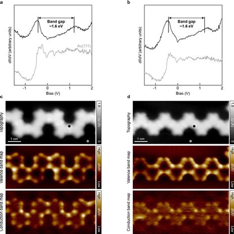Magnetic Excitations In Selected Open Ended Triangulene Spin Chains And
