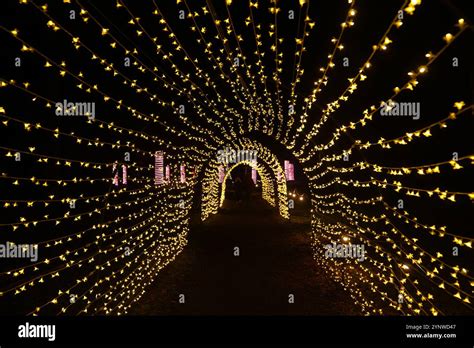 tunnels of fairy lights during luminate sandringham the sandringham