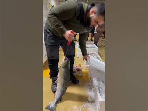 Охлажденный лосось. - YouTube