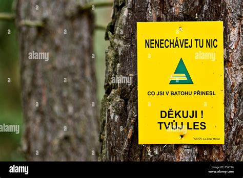 Sign In The Forest Stock Photo Alamy